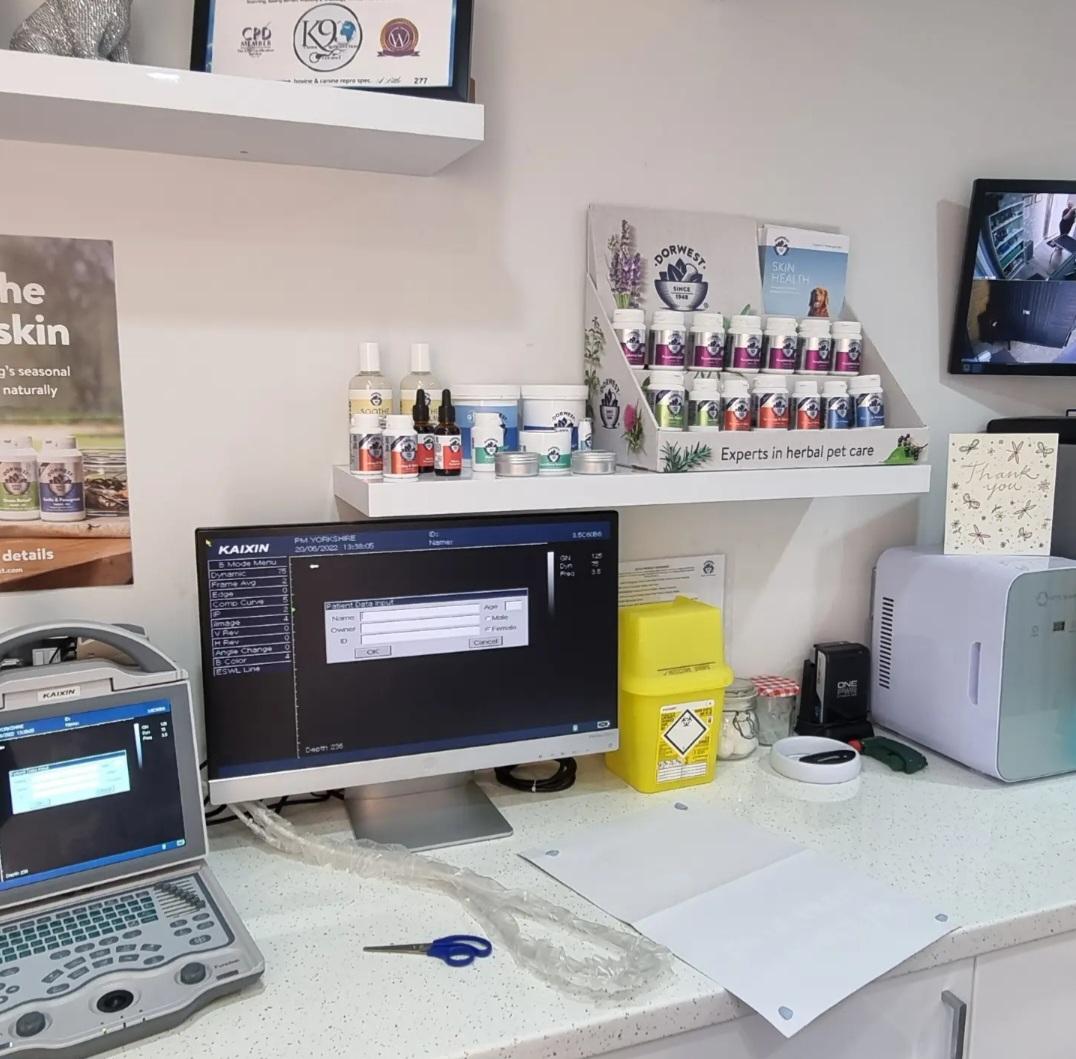 Scan Images by Sam Sharman. – Animal Ultrasound Association