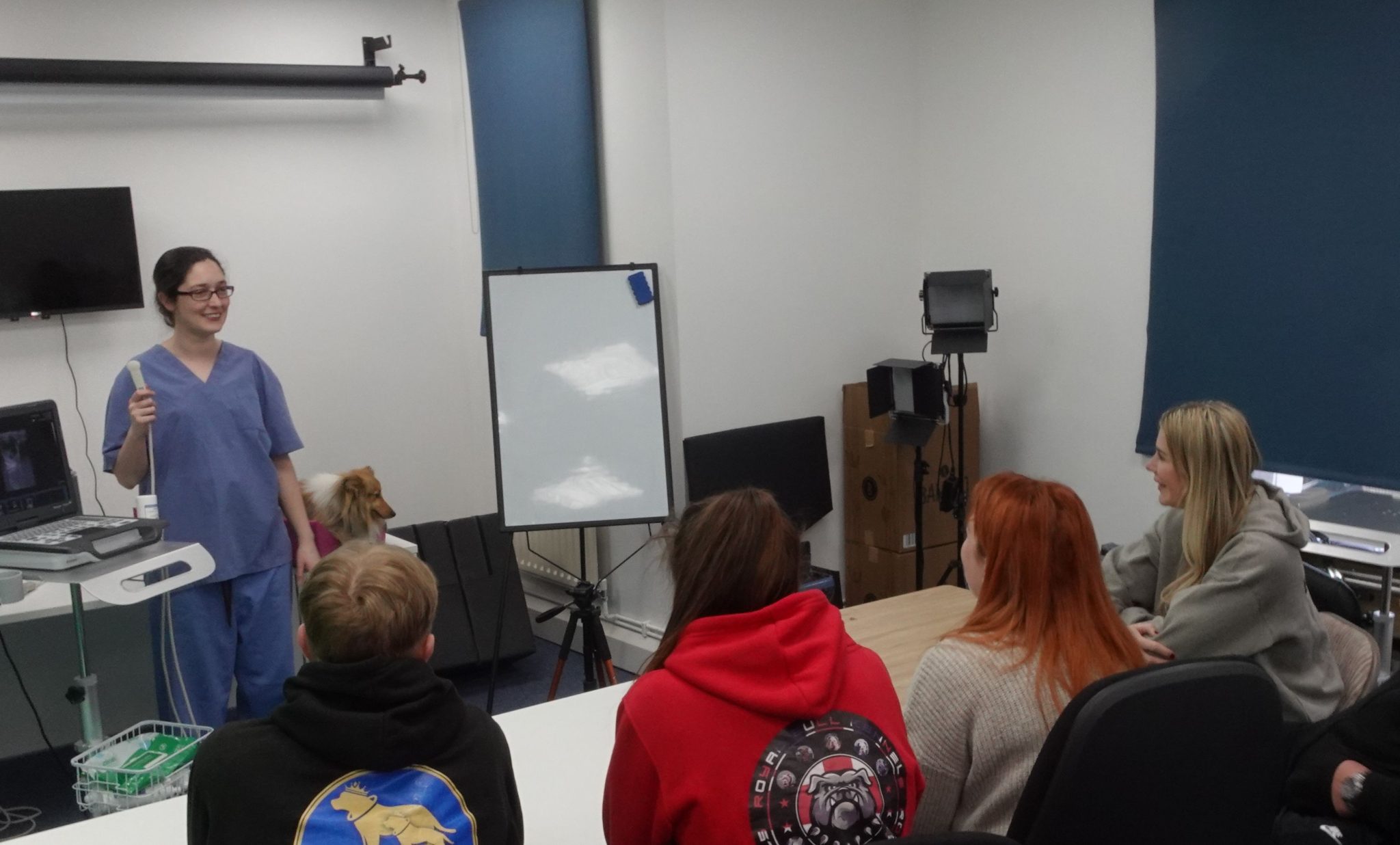 Veterinary ultrasound training courses – Animal Ultrasound Association