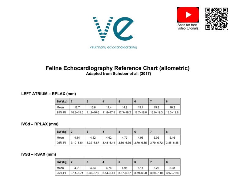 Feline Echo Wall Chart – Animal Ultrasound Association